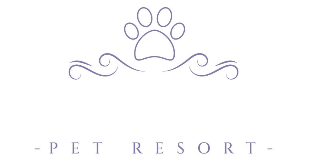 Pawparazzi – Pet Resort